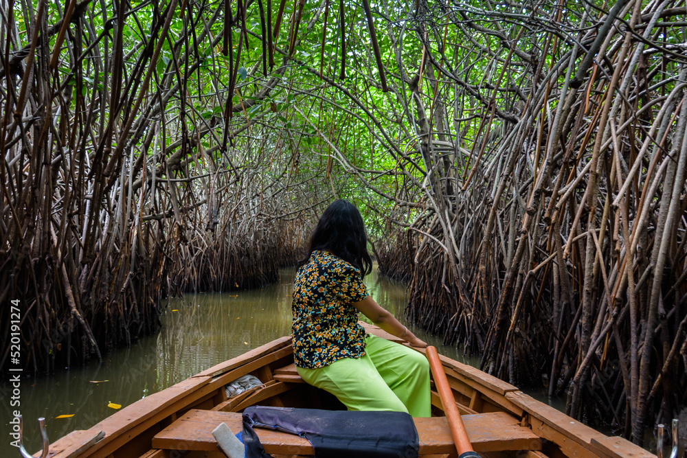 Young Indian woman boating through Pichavaram Mangrove Forests. The ...