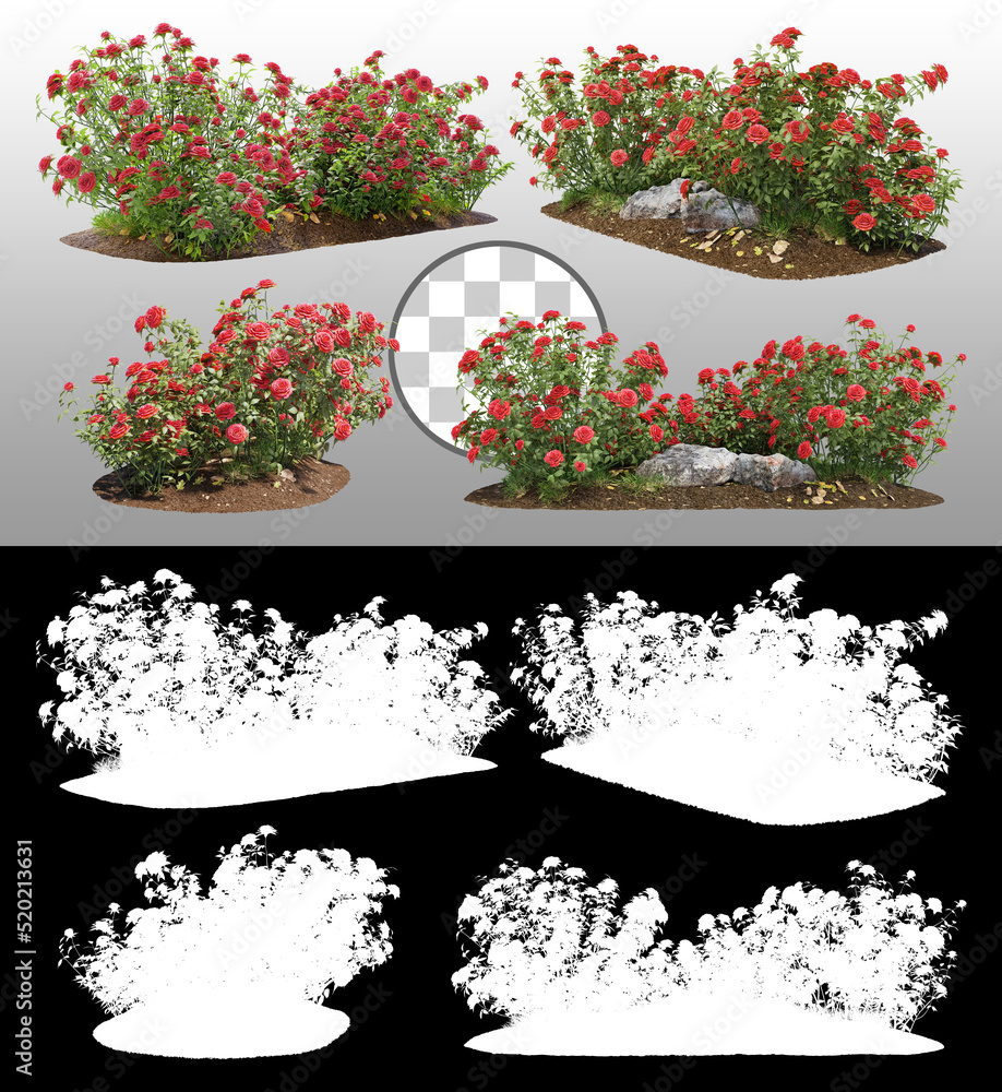 Cutout flowering bush isolated on transparent background via an alpha ...