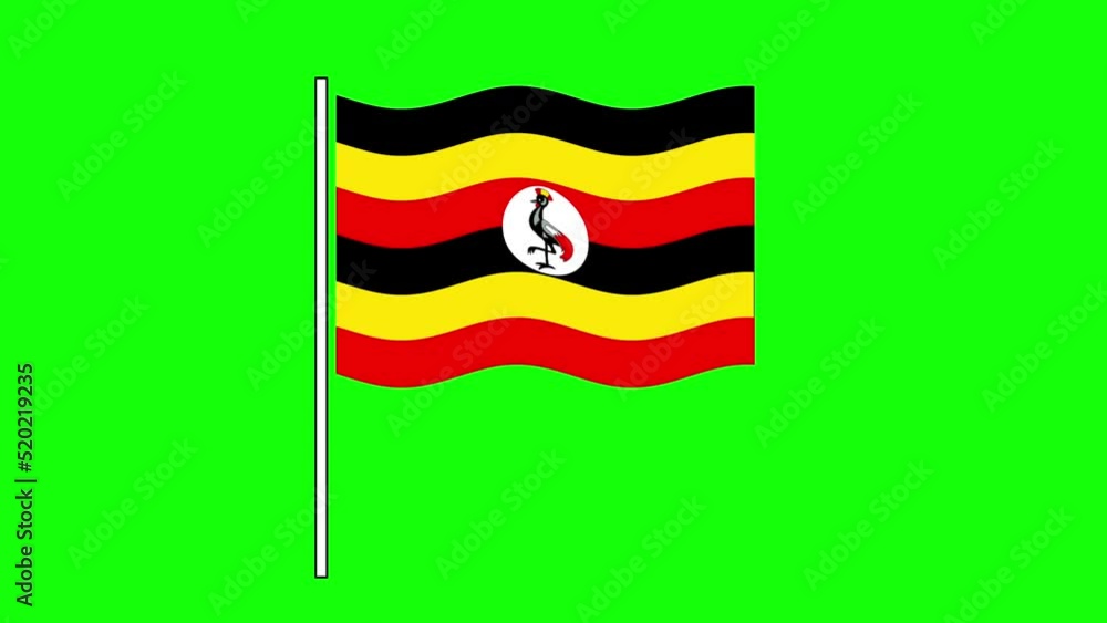 Uganda flag seamless loop animation. Chroma key, green screen. Waving ...