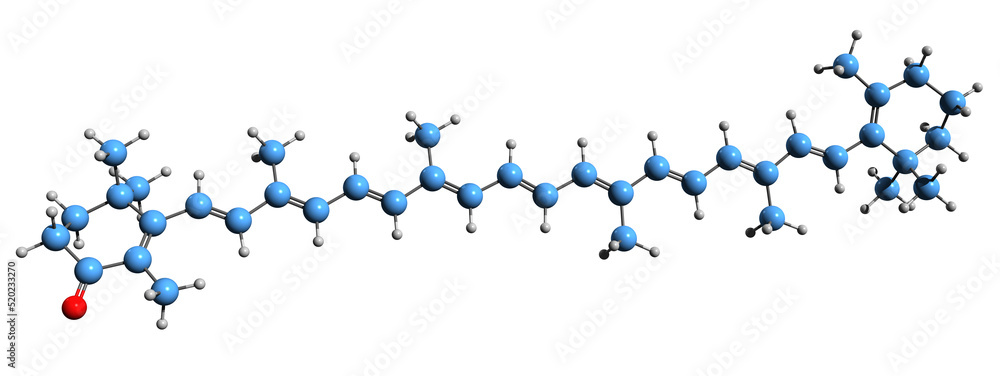 3D image of Echinenone skeletal formula - molecular chemical structure ...