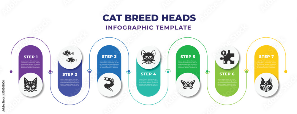 cat breed heads infographic design template with devon rex cat, fishes ...