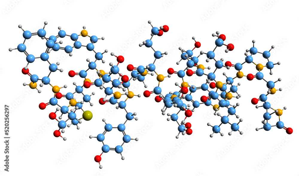 3D image of gastrin I skeletal formula - molecular chemical structure ...