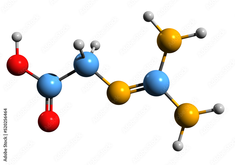 3D image of Glycocyamine skeletal formula - molecular chemical ...