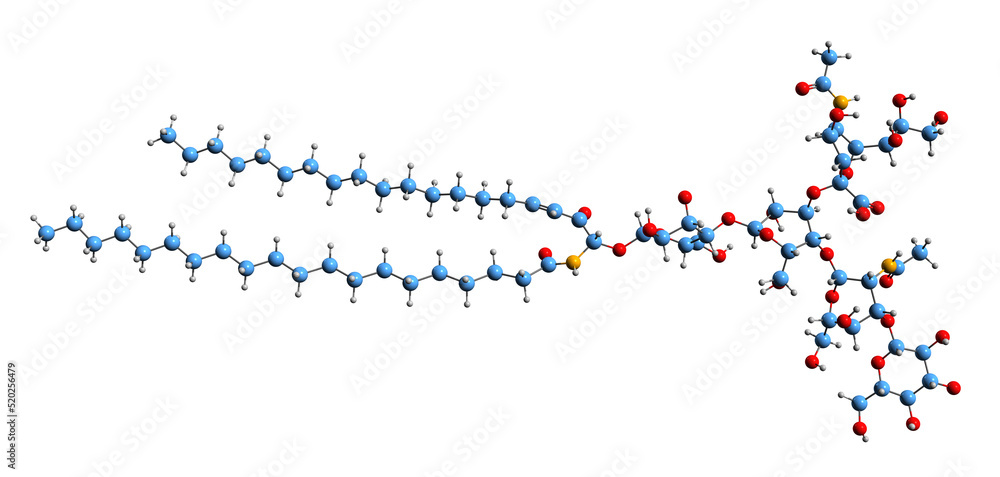3D image of monosialotetrahexosylganglioside skeletal formula ...