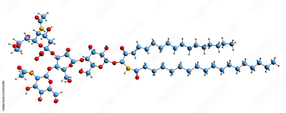 Glycosphingolipid Structure
