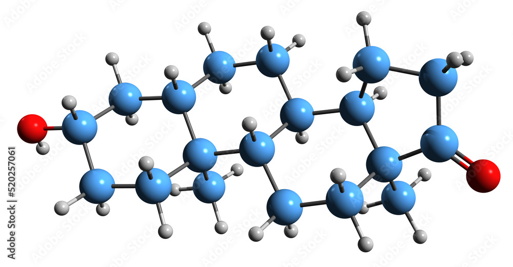 3D image of Noretiocholanolone skeletal formula - molecular chemical ...