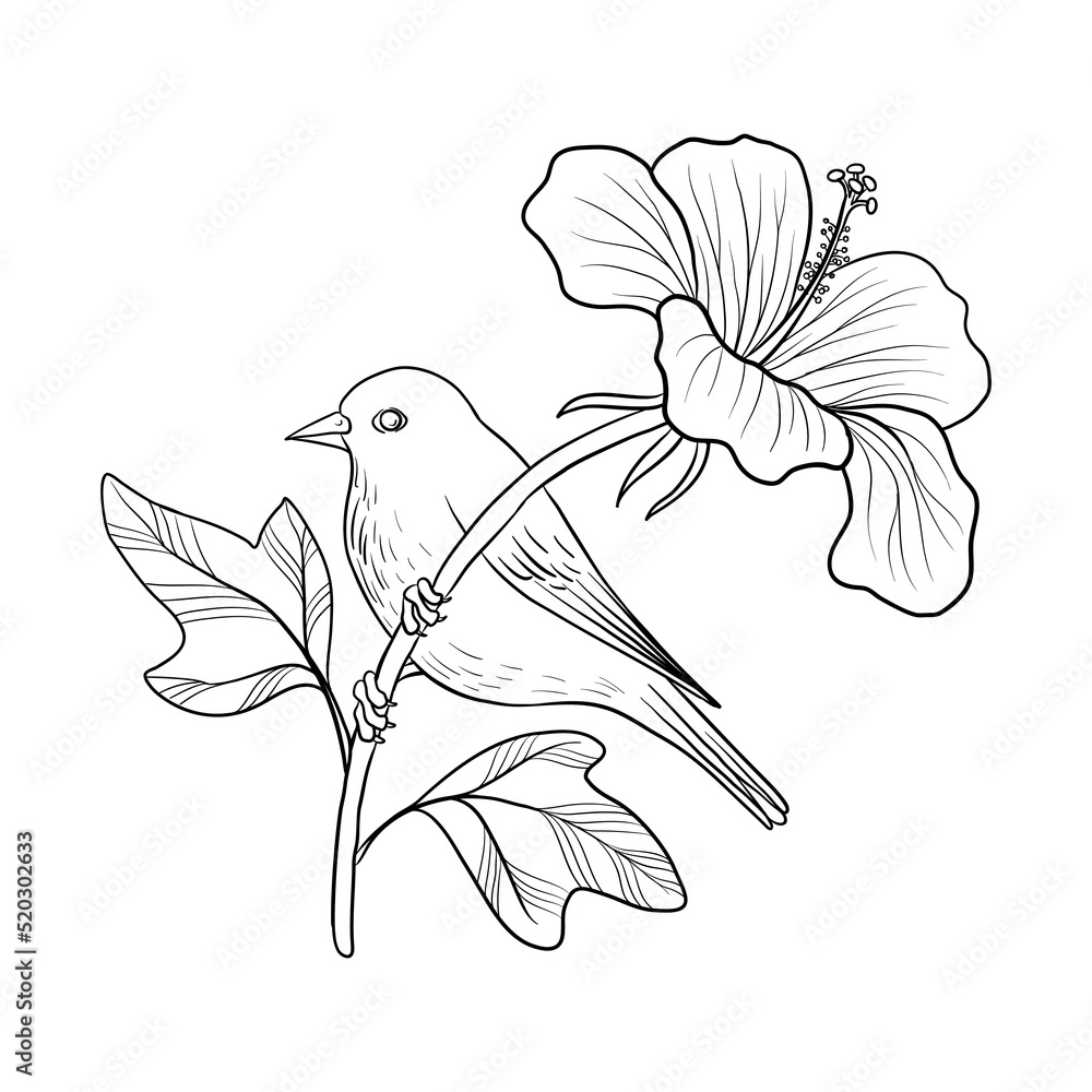 vector drawing bird at tree branch with flowers, hand drawn ...