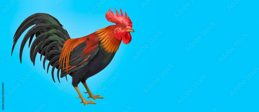 3d illustration of Brown-Red Domestic Rooster on color background HD ...