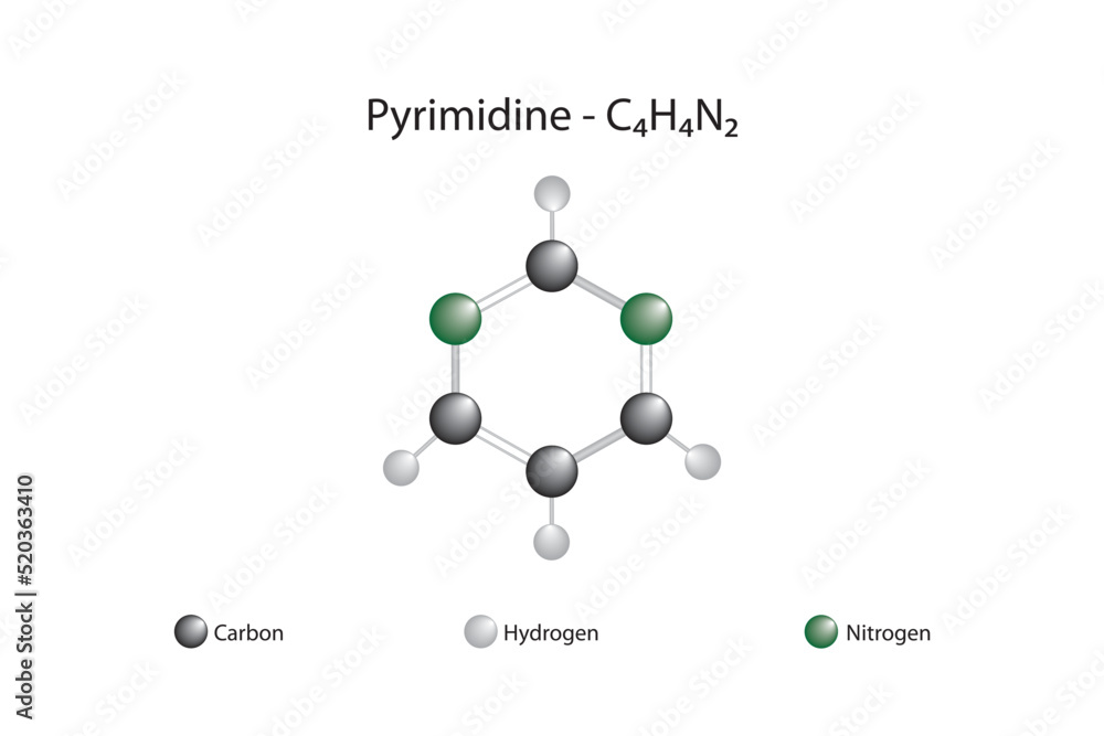 Pyrimidine Structure