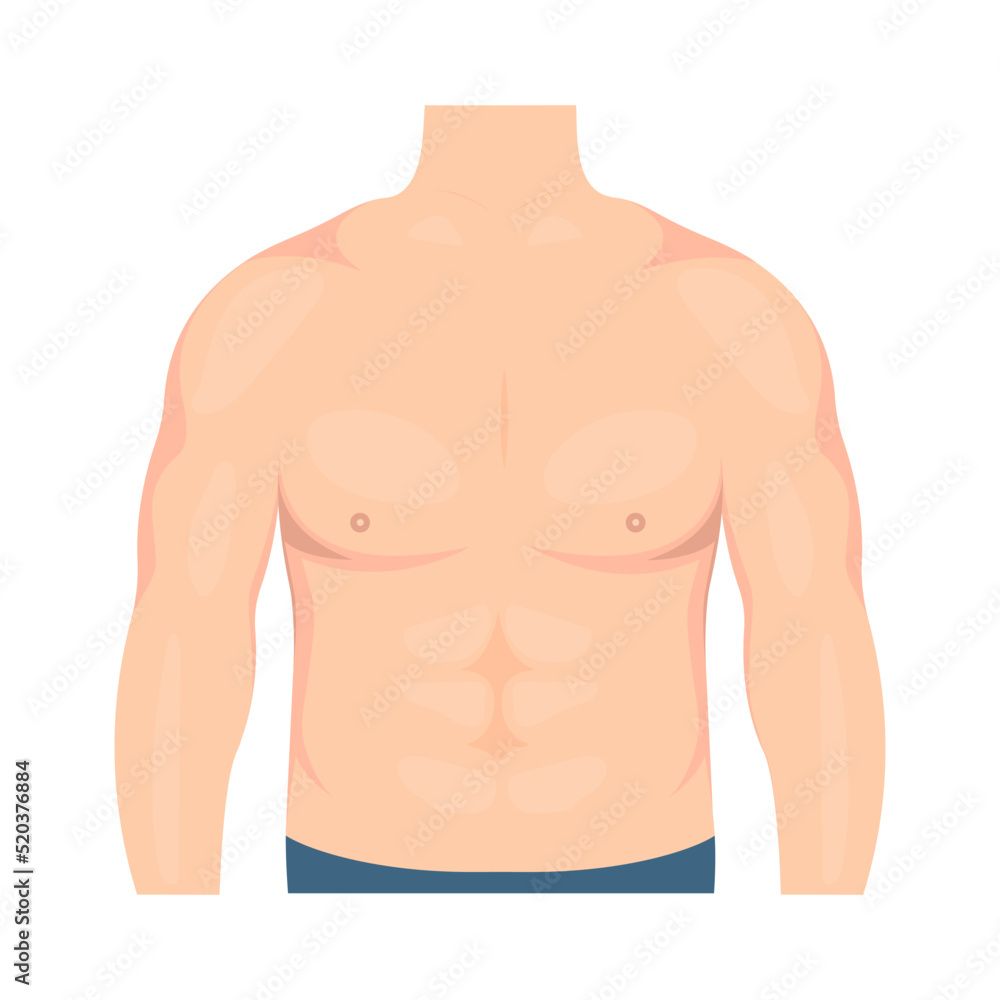 Vector illustration of a male torso Stock Vector | Adobe Stock