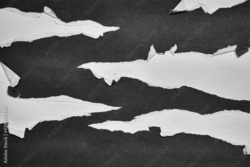 Black and White Torn Paper Collage Style, Ripped Paper Effect, Texture ...