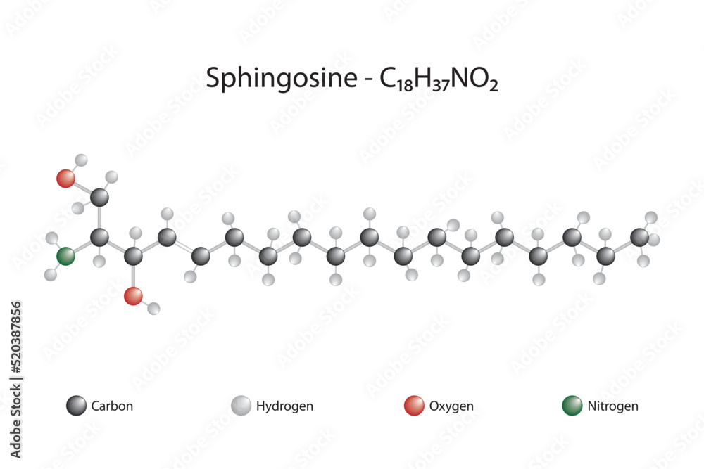 Molecular formula and chemical structure of sphingosine Stock Vector ...