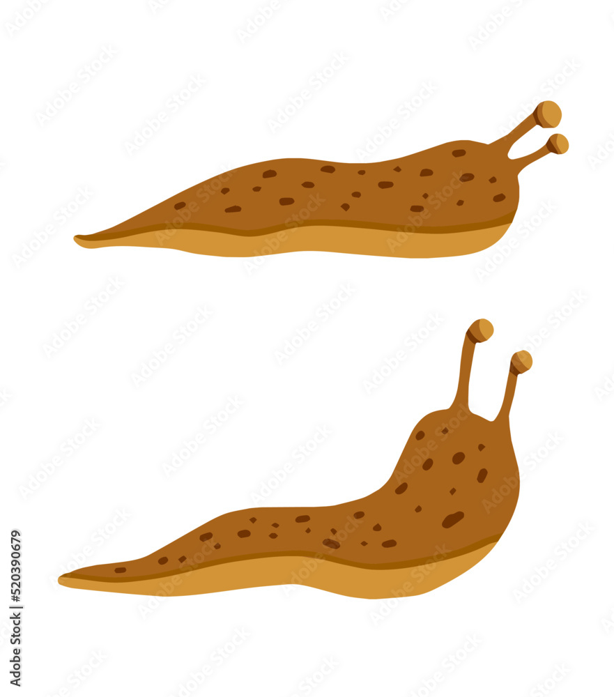 Brown slug. Set of slippery insects. Flat cartoon illustration isolated ...