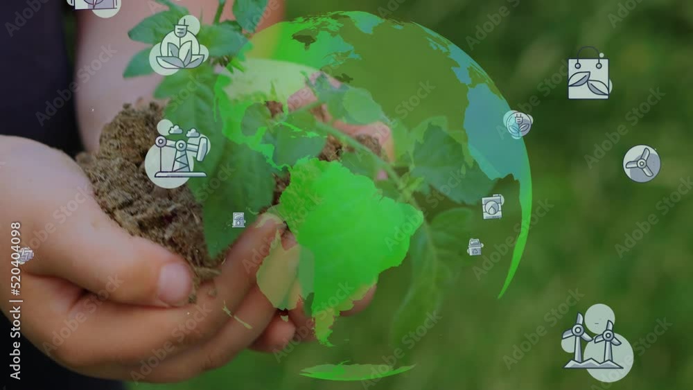 close up hands holding sapling of young oak tree. palms embrace the ...