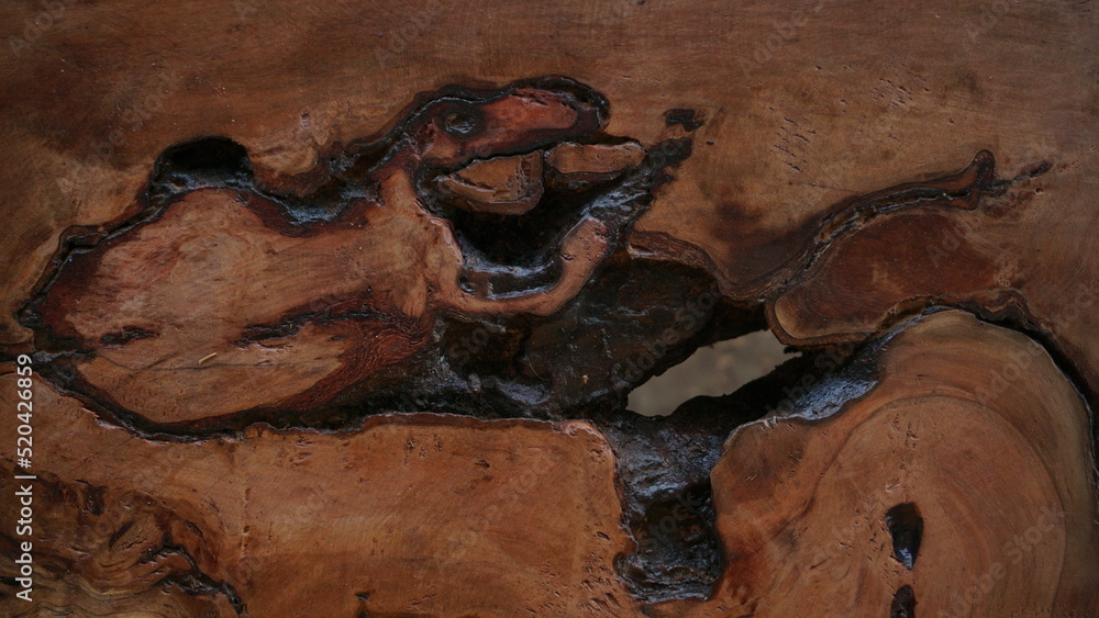 tump of oak tree felled - section of the trunk with annual pattern ...