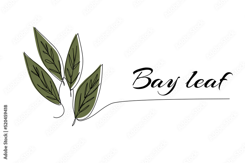 Continuous one line drawing of bay leaf. Modern style vector ...