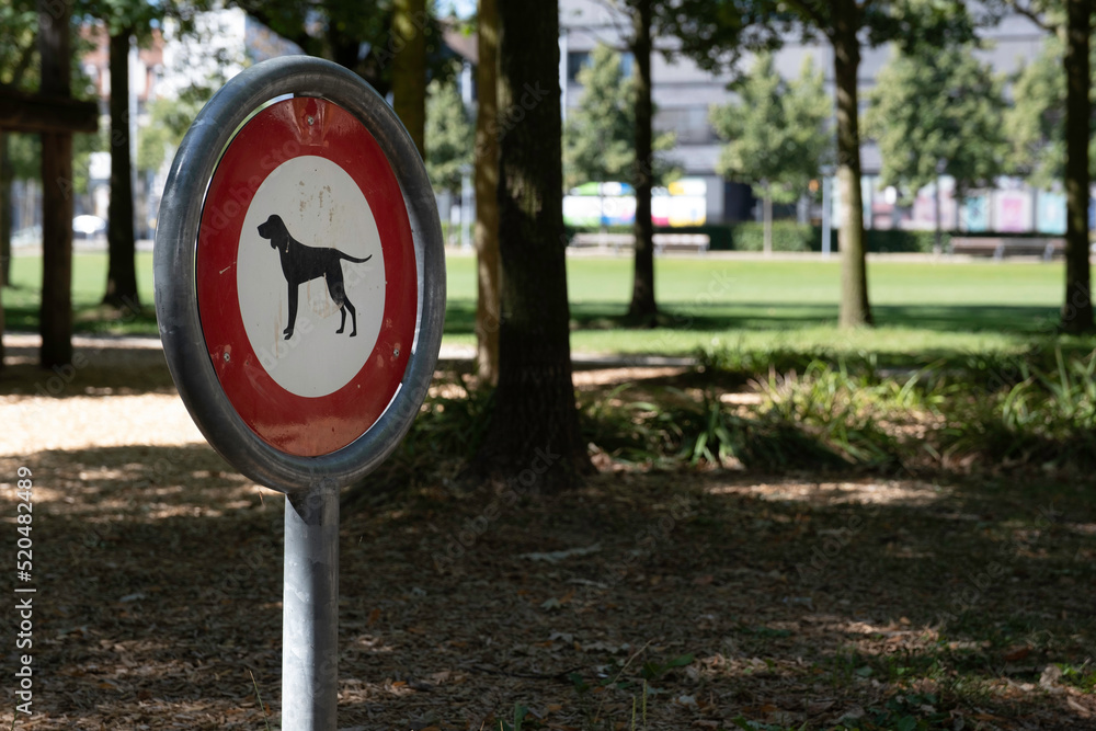 Foto de Sign 'Forbidden for dogs' in a park. The no-dog sign indicates ...