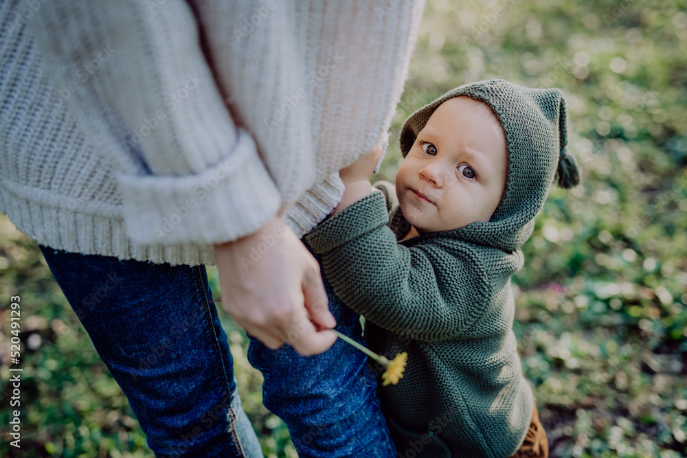 Mother holding hands of her baby son when walking in nature, baby's ...