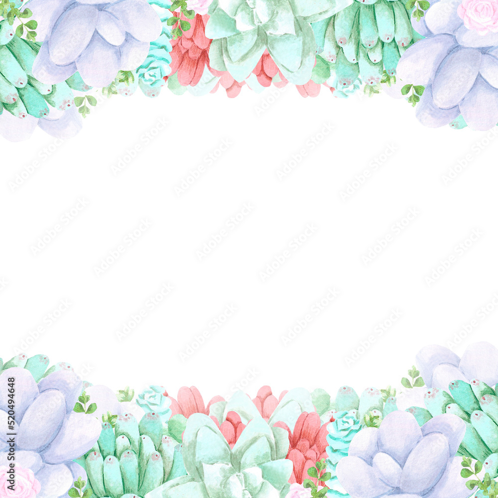 Succulent plants frame boarder on white Background. Hand drawn ...