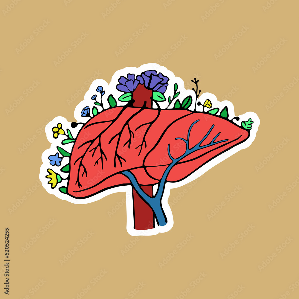 Healthy liver organ flat design. Hepatic system organ, digestive ...