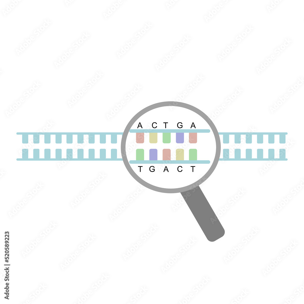 The DNA detection concept that represents a magnifying glass is ...