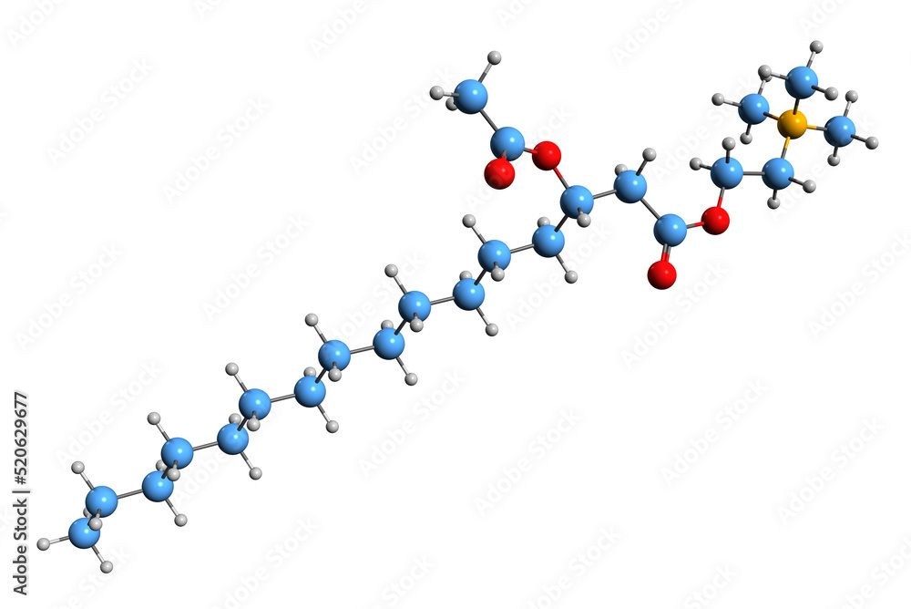 3D image of Pahutoxin skeletal formula - molecular chemical structure ...