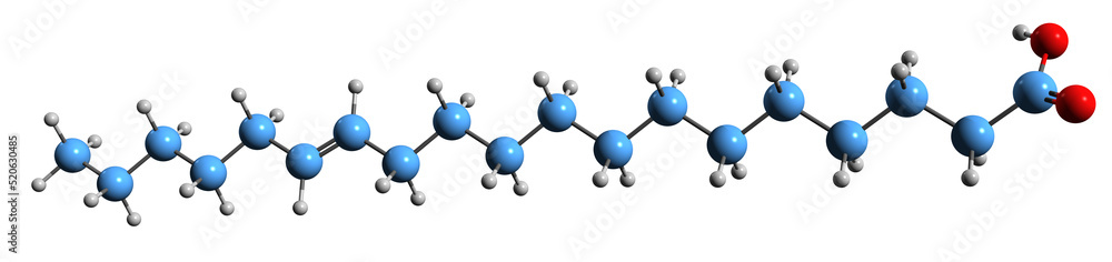 3D image of Paullinic acid skeletal formula - molecular chemical ...