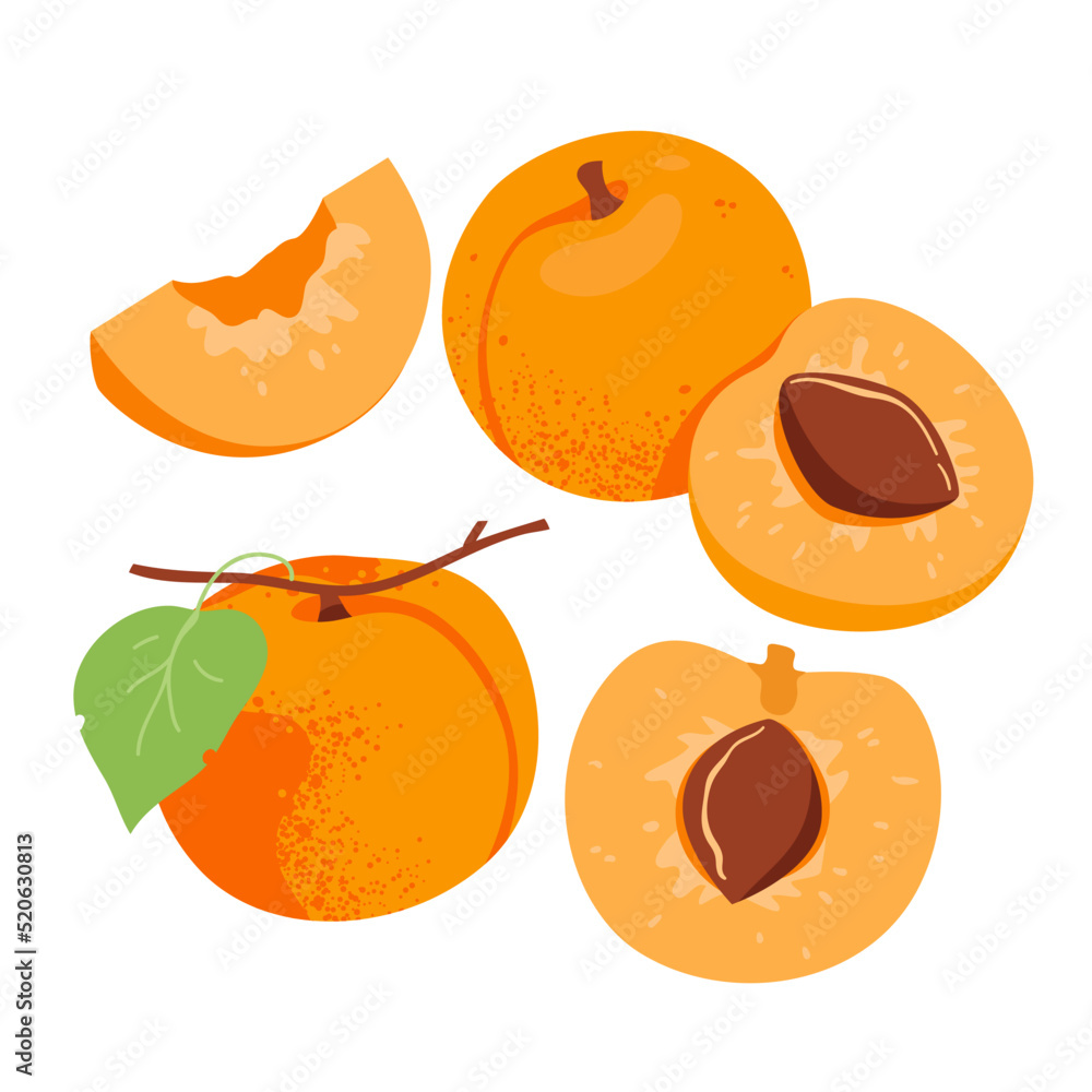 Whole apricots fruits. Half and slice apricot with leaf, natural peach ...