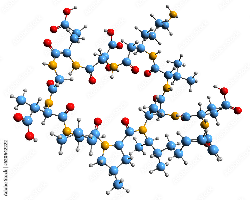 3D image of Malacidin В skeletal formula - molecular chemical structure ...