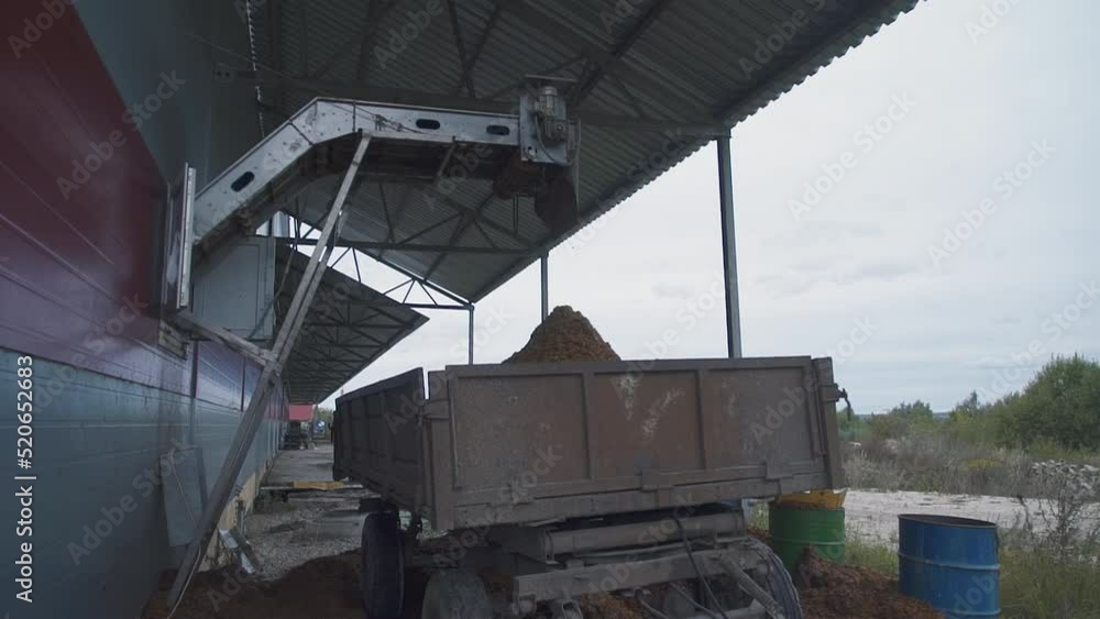 Pressed Fruits Fall From Conveyor Into Pile Inside Truck Carriage ...
