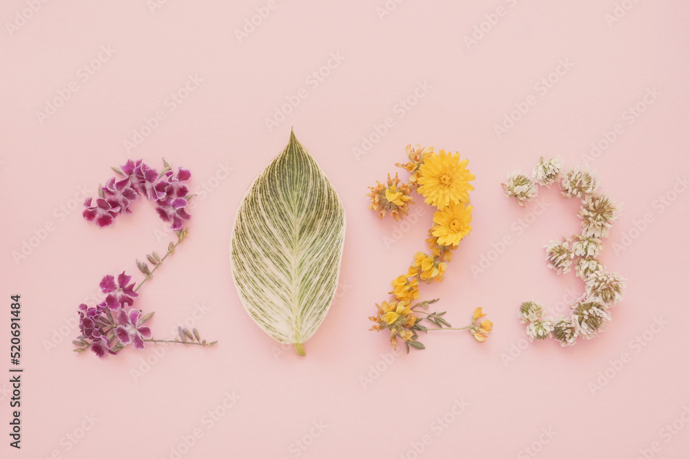 2023 made from natural plants, leaves and flowers, Happy New Year ...