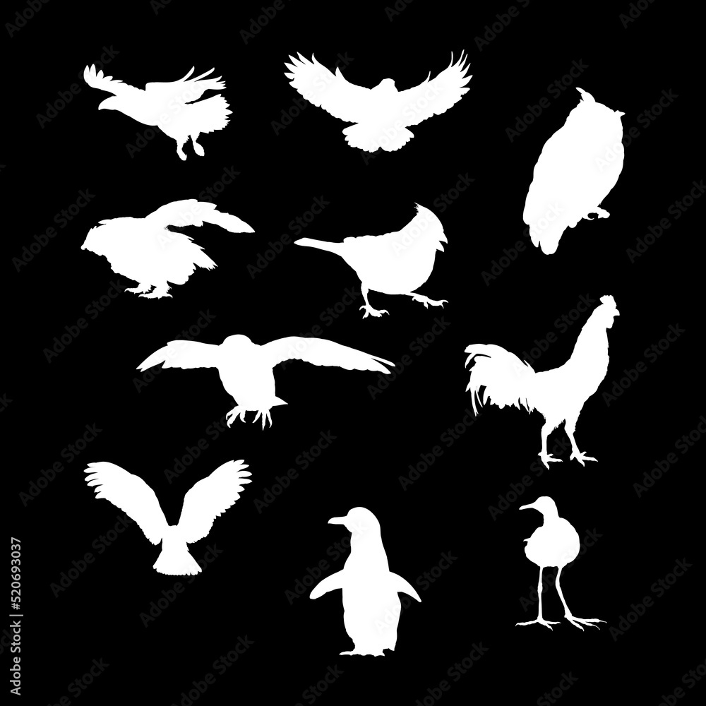 aves hand drawing vector illustration isolated on black background ...