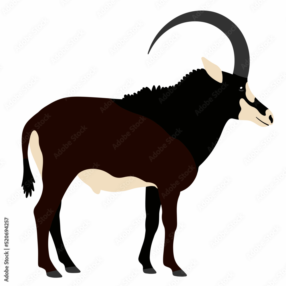 male sable antelope vector cartoon illustration Stock Vector | Adobe Stock