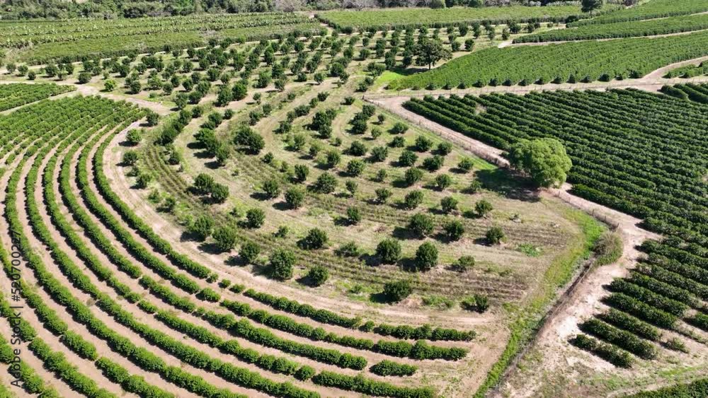 Rural life scenery. Agriculture field environment. Farmland rural ...