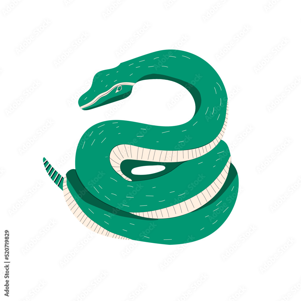 Green snake animal magical wild. Vector illustration Stock Vector ...