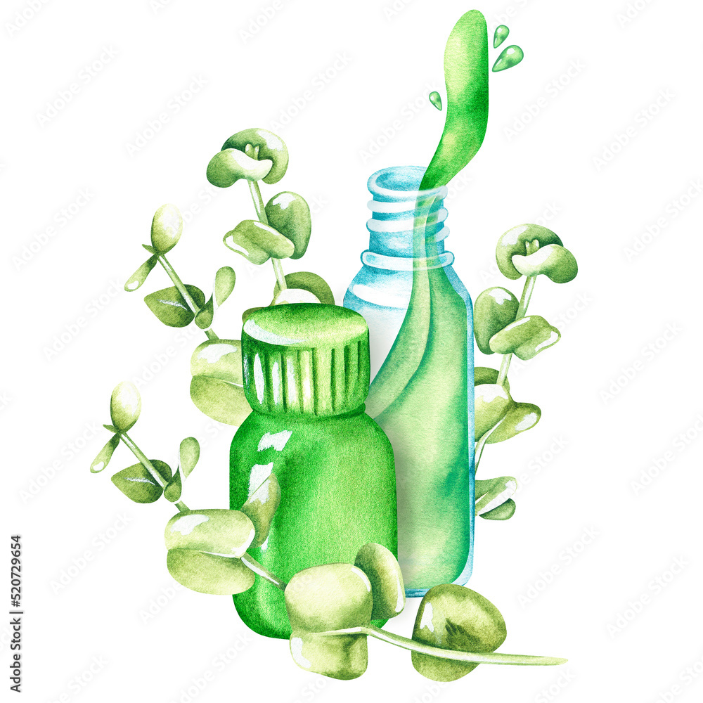 Eucalyptus Essential Oil Clip Art