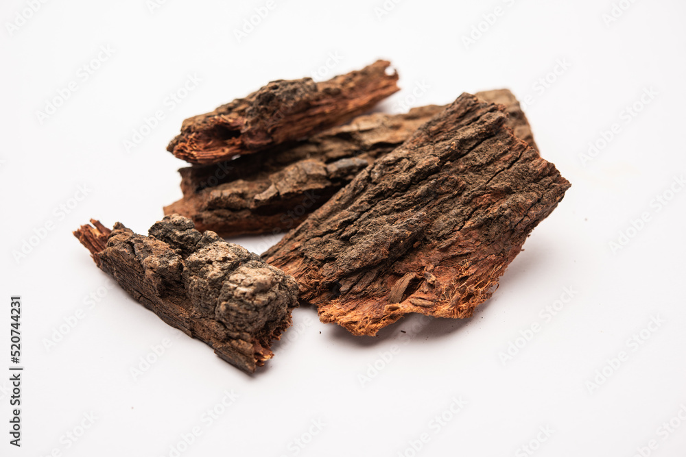 Babul Chaal (Acacia Bark) also known as Vachellia,Nilotica bark,Kikar ...