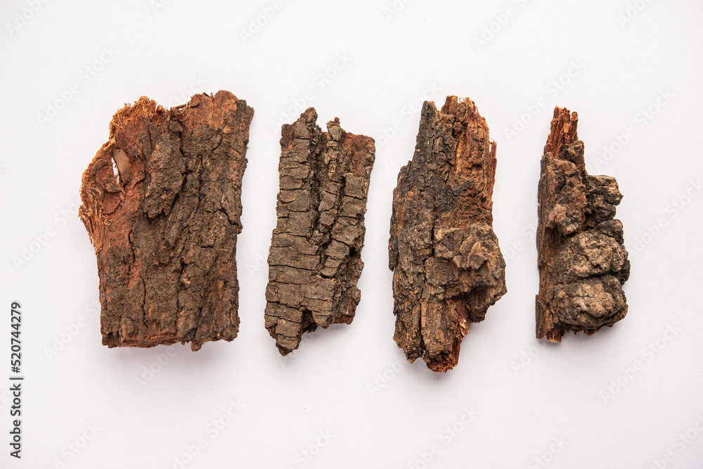 Babul Chaal (Acacia Bark) also known as Vachellia,Nilotica bark,Kikar ...