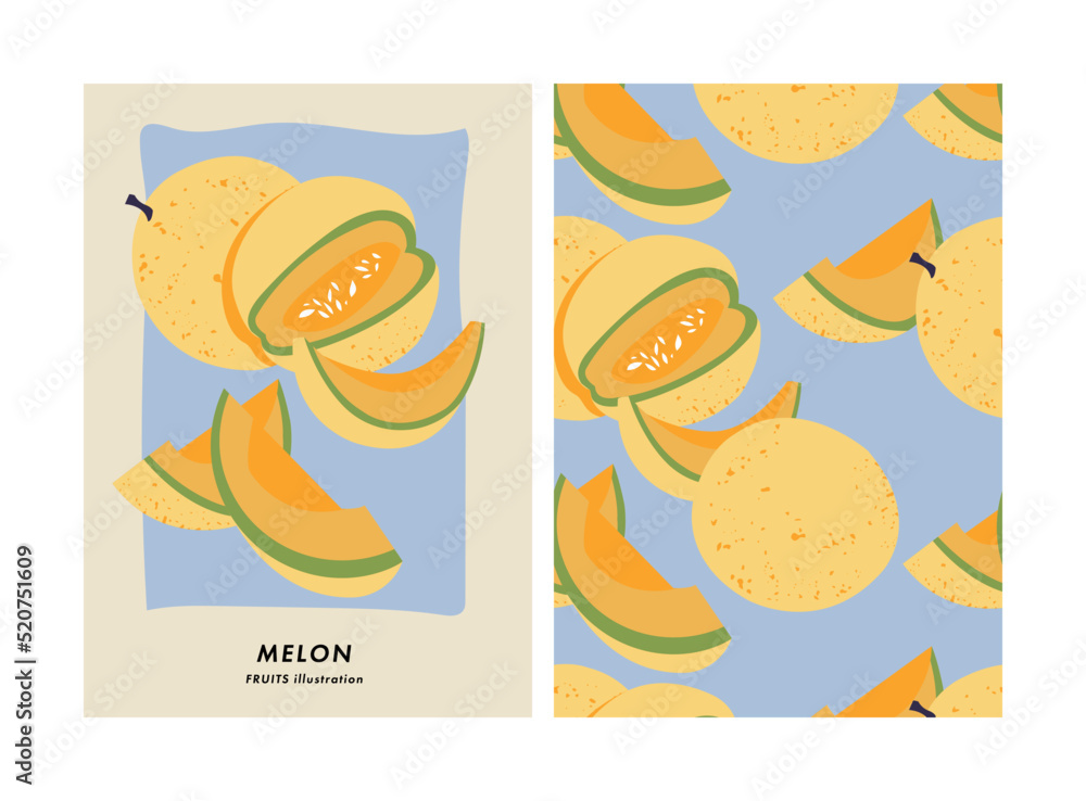 Vector illustration poster with melon fruit. Art for postcards, wall ...