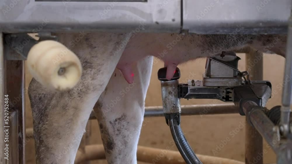 Automatic Cleaning Before Milking in Dairy Farm by Robot, Electrical Movements by Hybrid ...