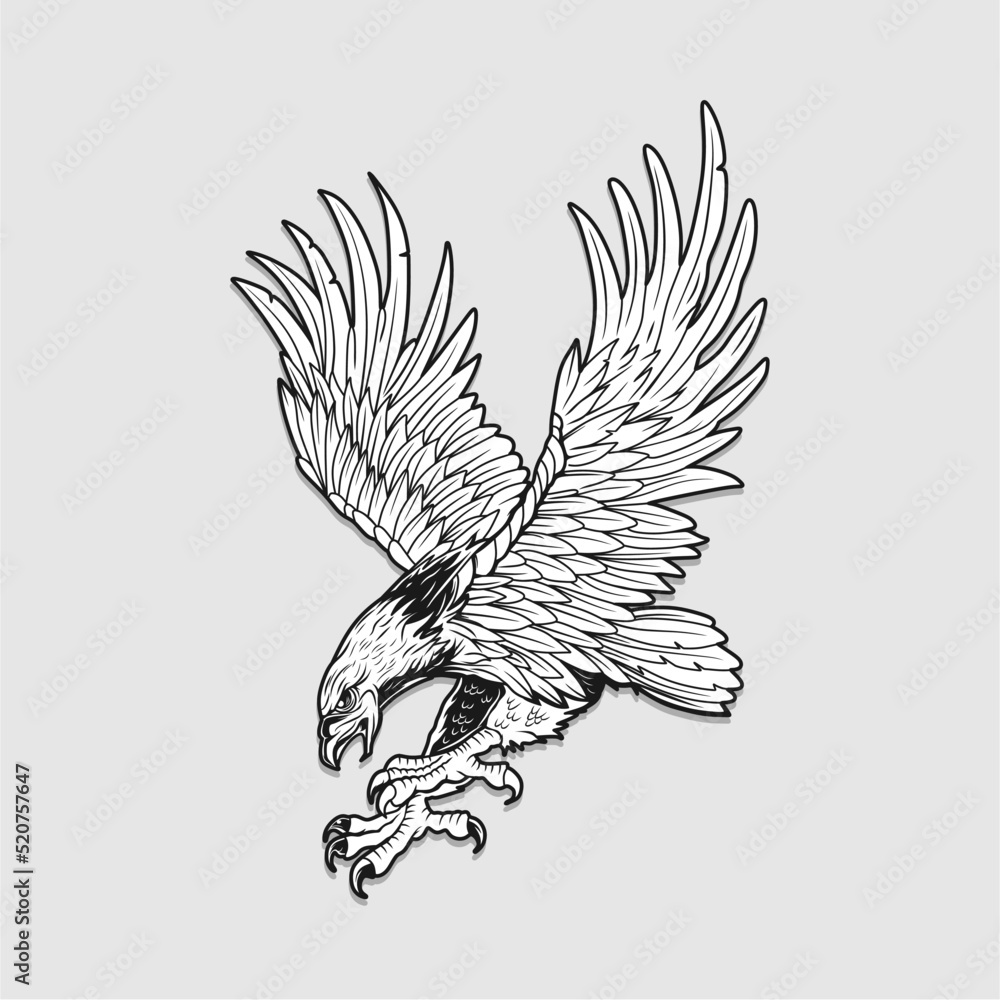 Line Drawing Eagle at Janita Huang blog