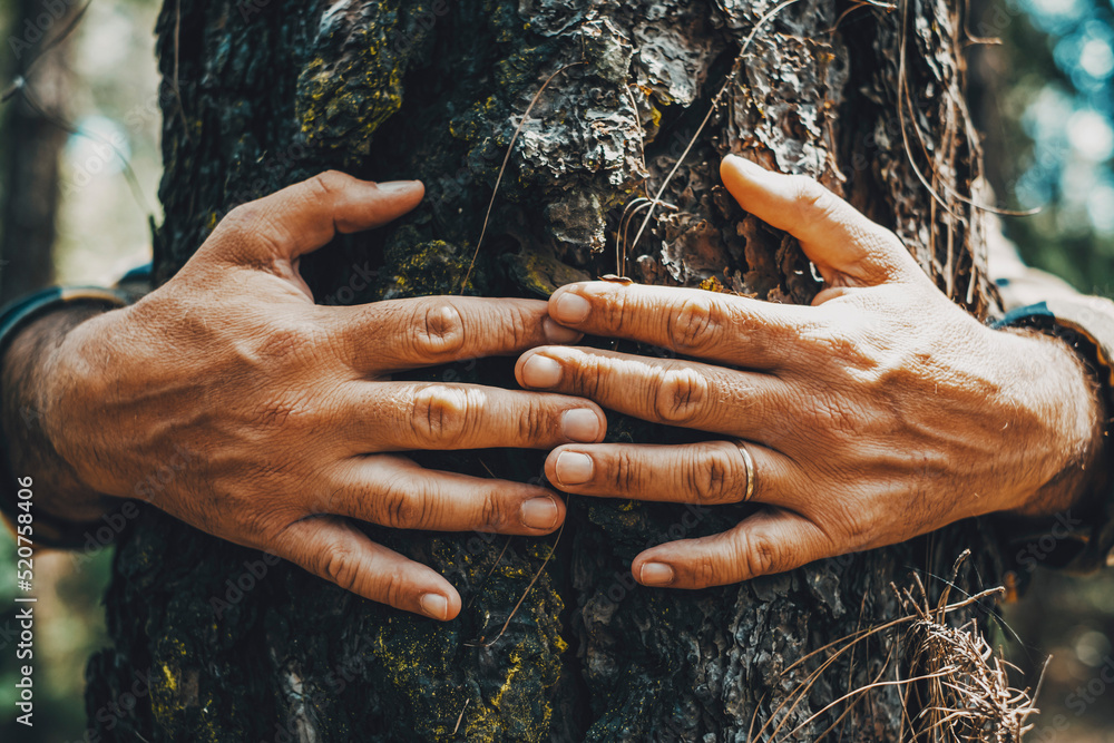 Close up of people hands hugging a trunk tree with love and protection ...