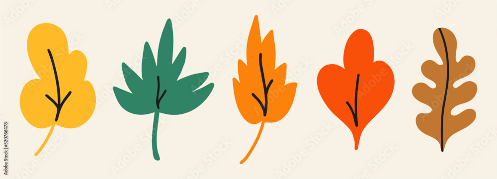 Autumn leaves set, isolated on white background. Simple cartoon flat ...