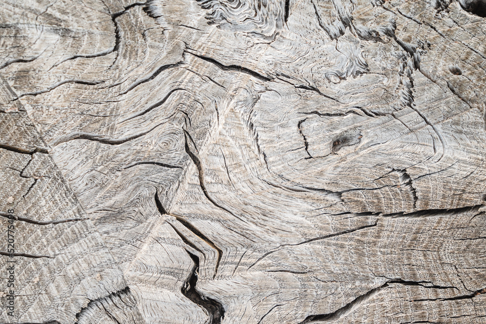 High quality white wood texture with lines. Photorealistic 4k texture ...