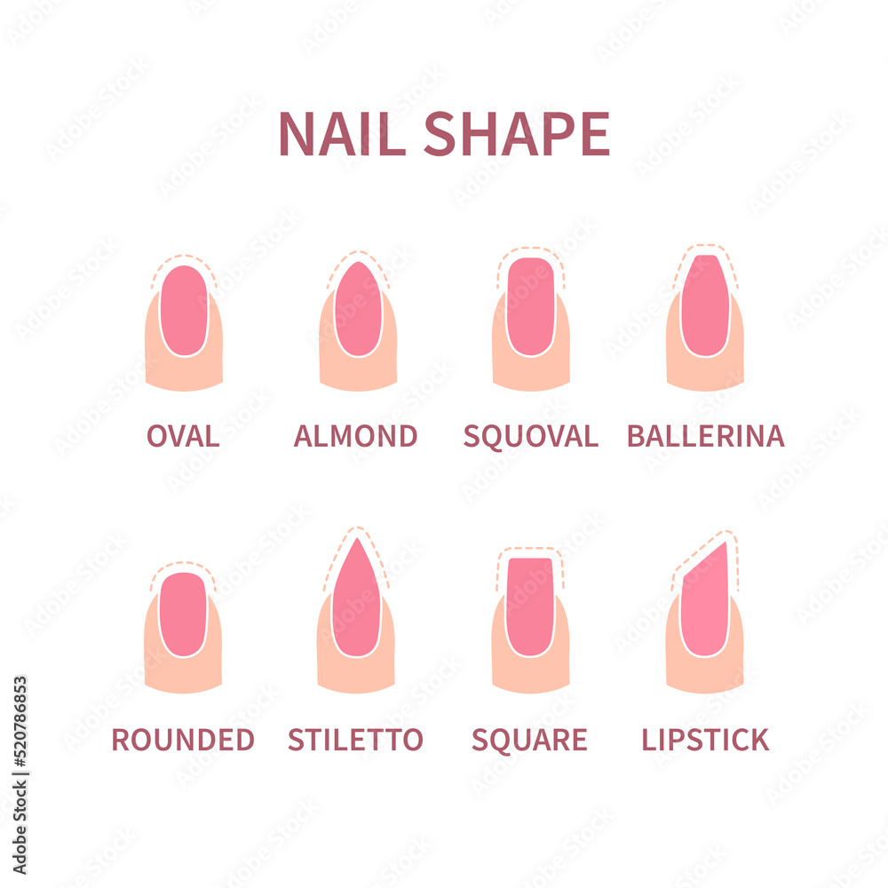 Set of nail shapes with contours. Fingernails of different form with ...