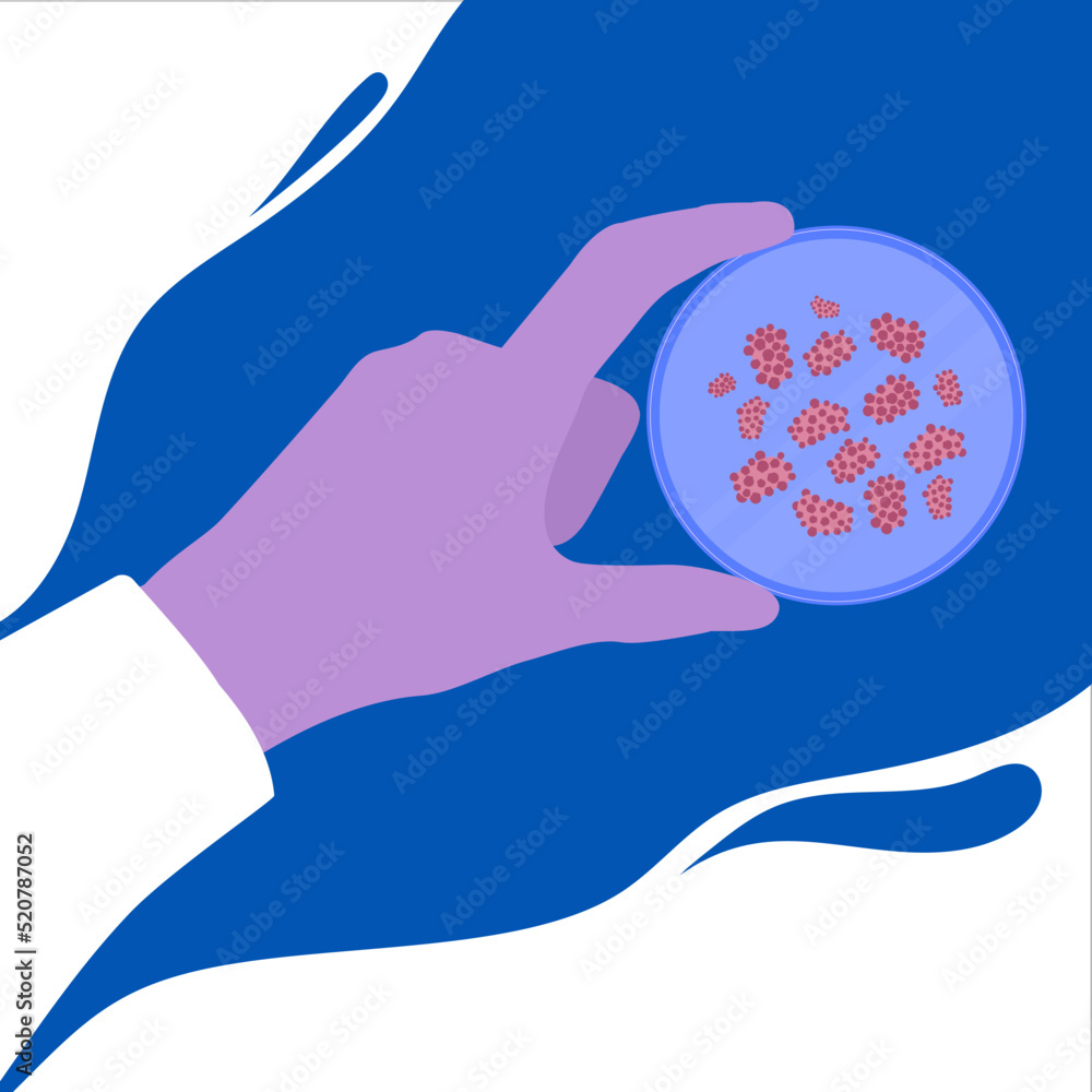 Staphylococcus bacteria under the microscope. Medical research of ...