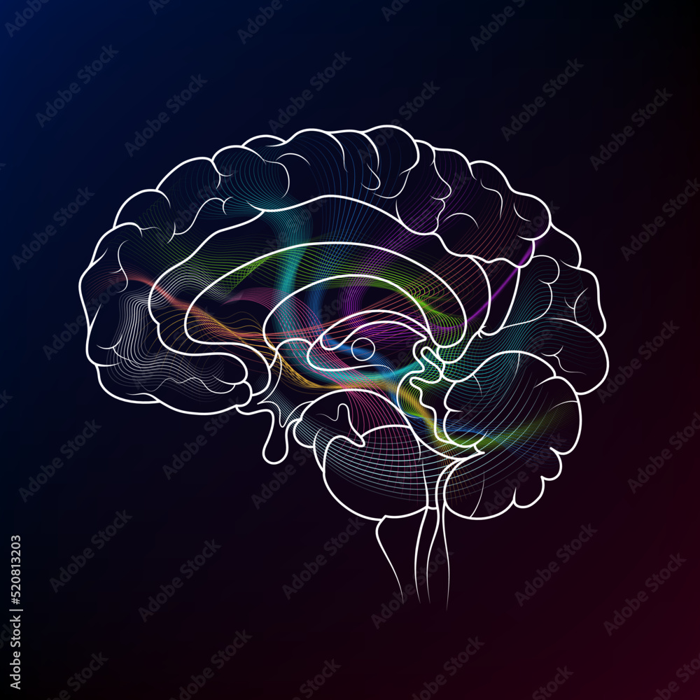 Neuroscience infographic on dark background. Brain cells connectome ...
