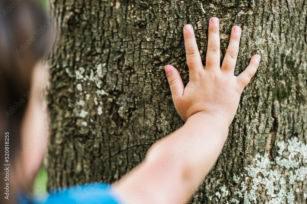 Crop unrecognizable child touching tree trunk Stock Photo | Adobe Stock