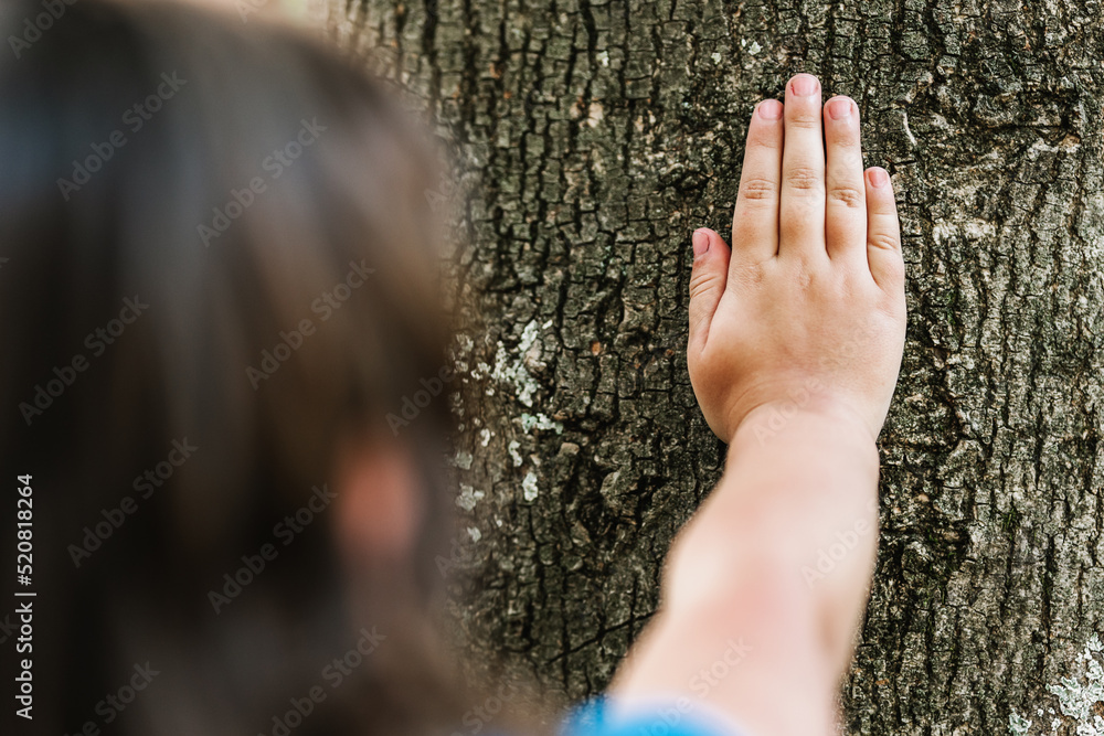Crop unrecognizable child touching tree trunk Stock Photo | Adobe Stock