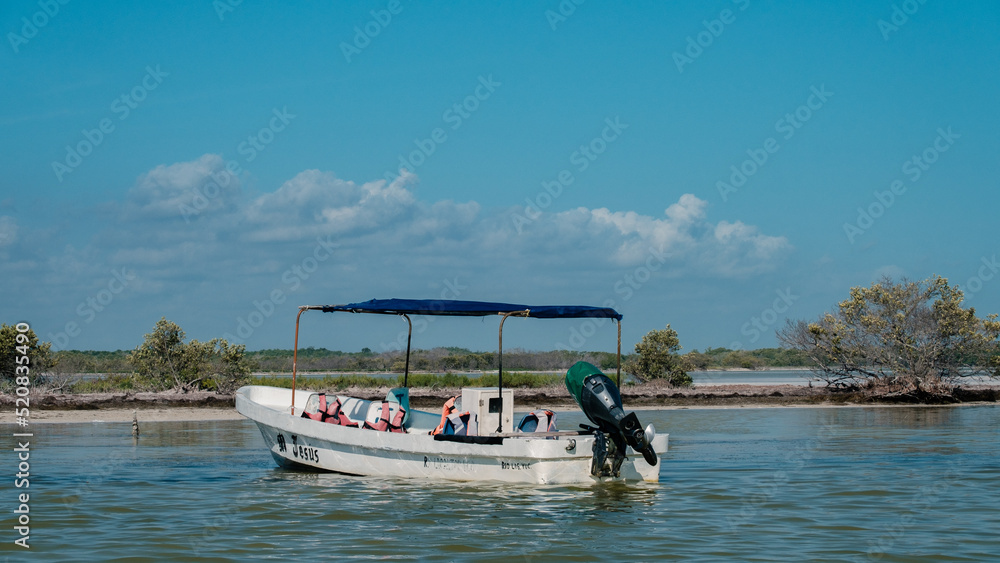 Bat on the lagoon of boat at Rio Lagartos, Yucatan Stock-Foto | Adobe Stock